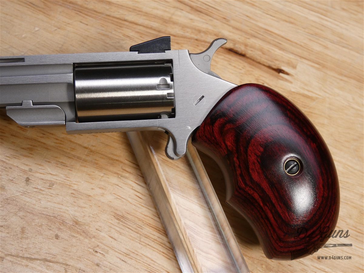 North American Arms Mini-Master - .22 LR - Derringer - NAA - Stainless ...