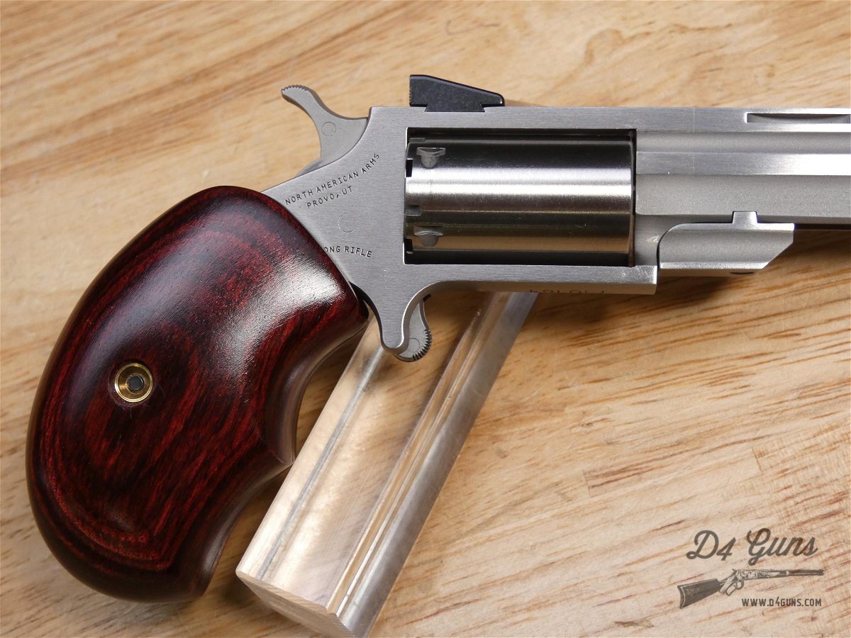 North American Arms Mini-Master - .22 LR - Derringer - NAA - Stainless ...