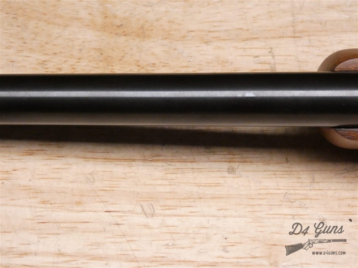 Ruger 10/22 Ducks Unlimited - .22 LR - MFG 2007 - Americas Plinker ...