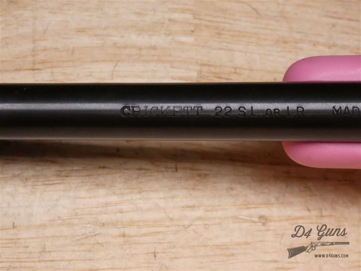 KSA Crickett - .22 S/L/LR - My First Rifle - Single Shot Youth Plinker ...