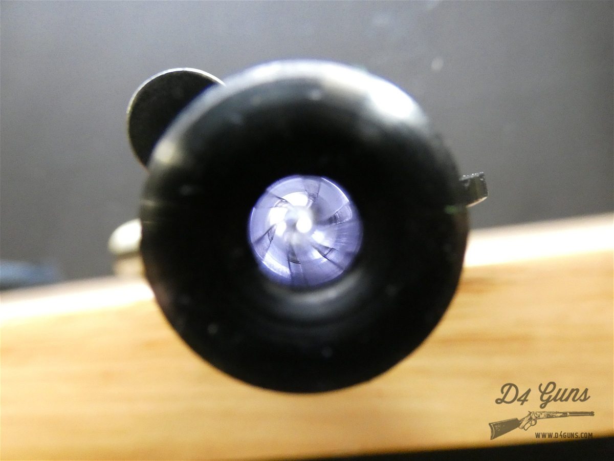 Heritage Rough Rider - .22 LR & .22 MAG - Buffalo grip - 2 Cylinders ...